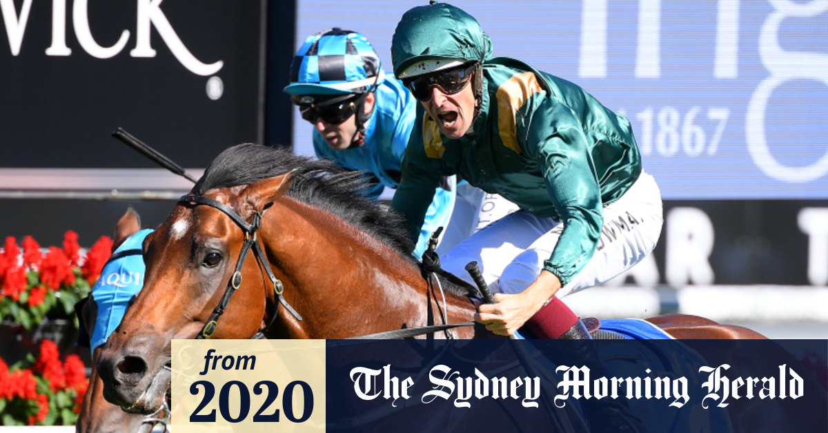 King lands Sires crown and guarantees stud legacy